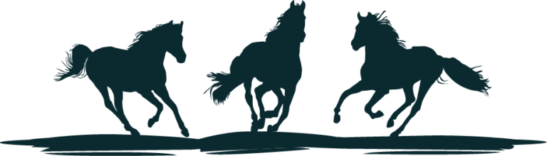 Home - Wild Mustang Ranch