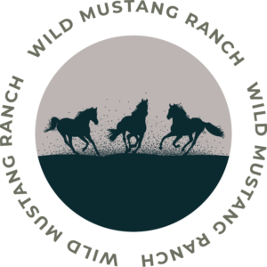 Wild Mustang Ranch – Wild Mustang Sanctuary