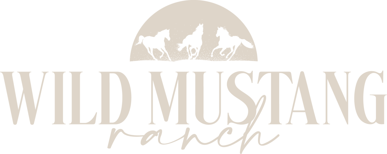 About the Ranch - Wild Mustang Ranch