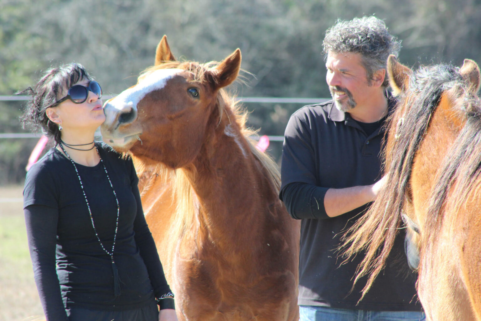 Meet The Team - Wild Mustang Ranch