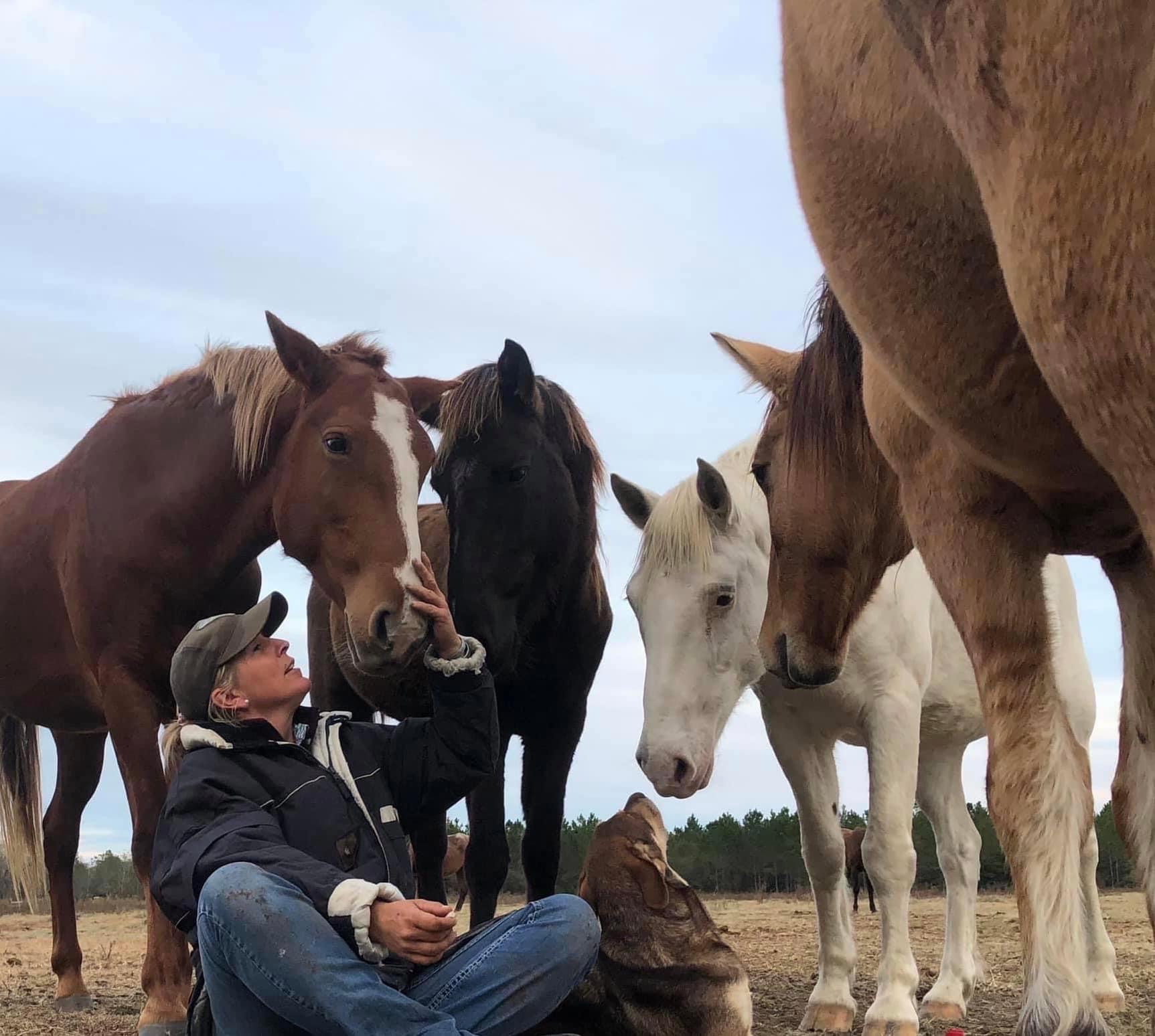 Saturday on the Ranch – Wild Mustang Ranch