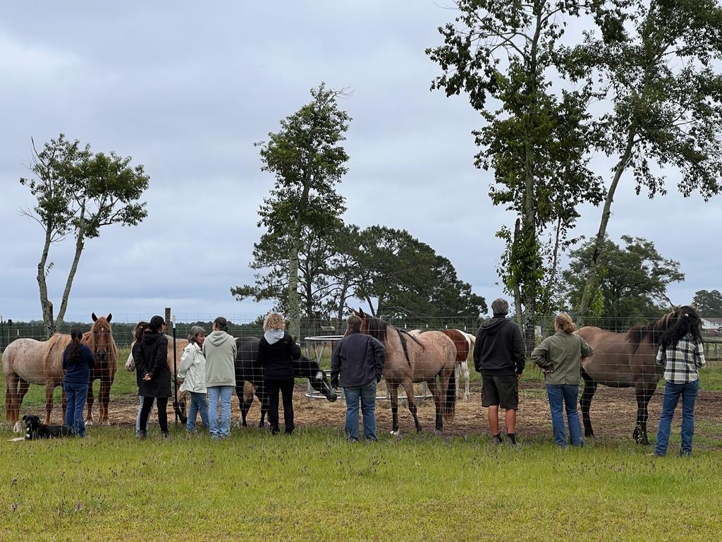 About the Ranch - Wild Mustang Ranch