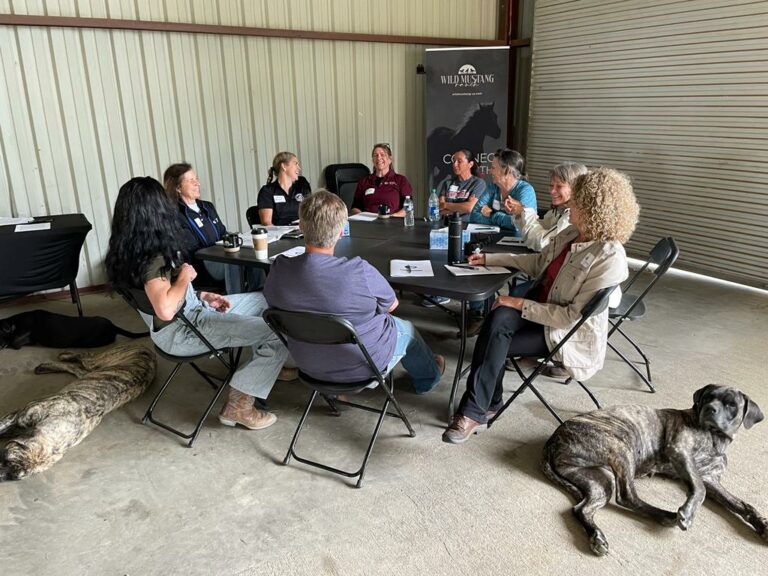 About the Ranch - Wild Mustang Ranch