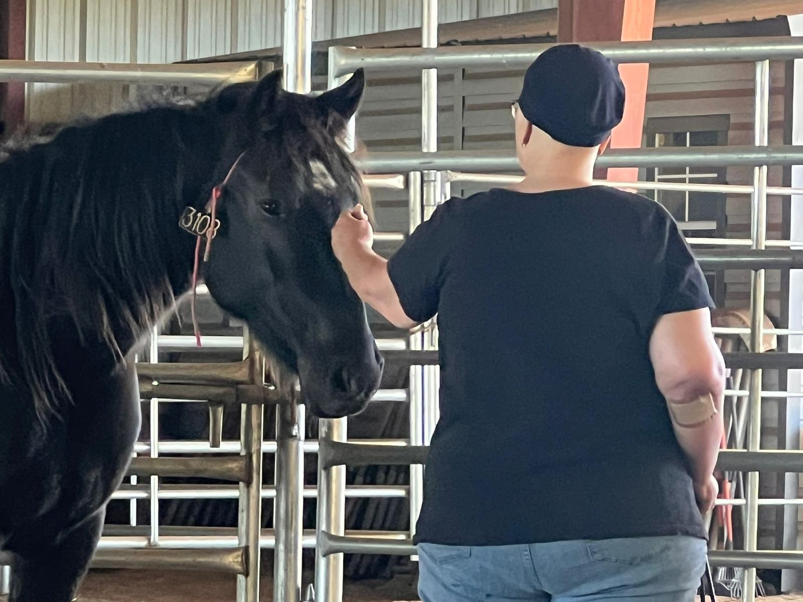 Saturday on the Ranch - Wild Mustang Ranch
